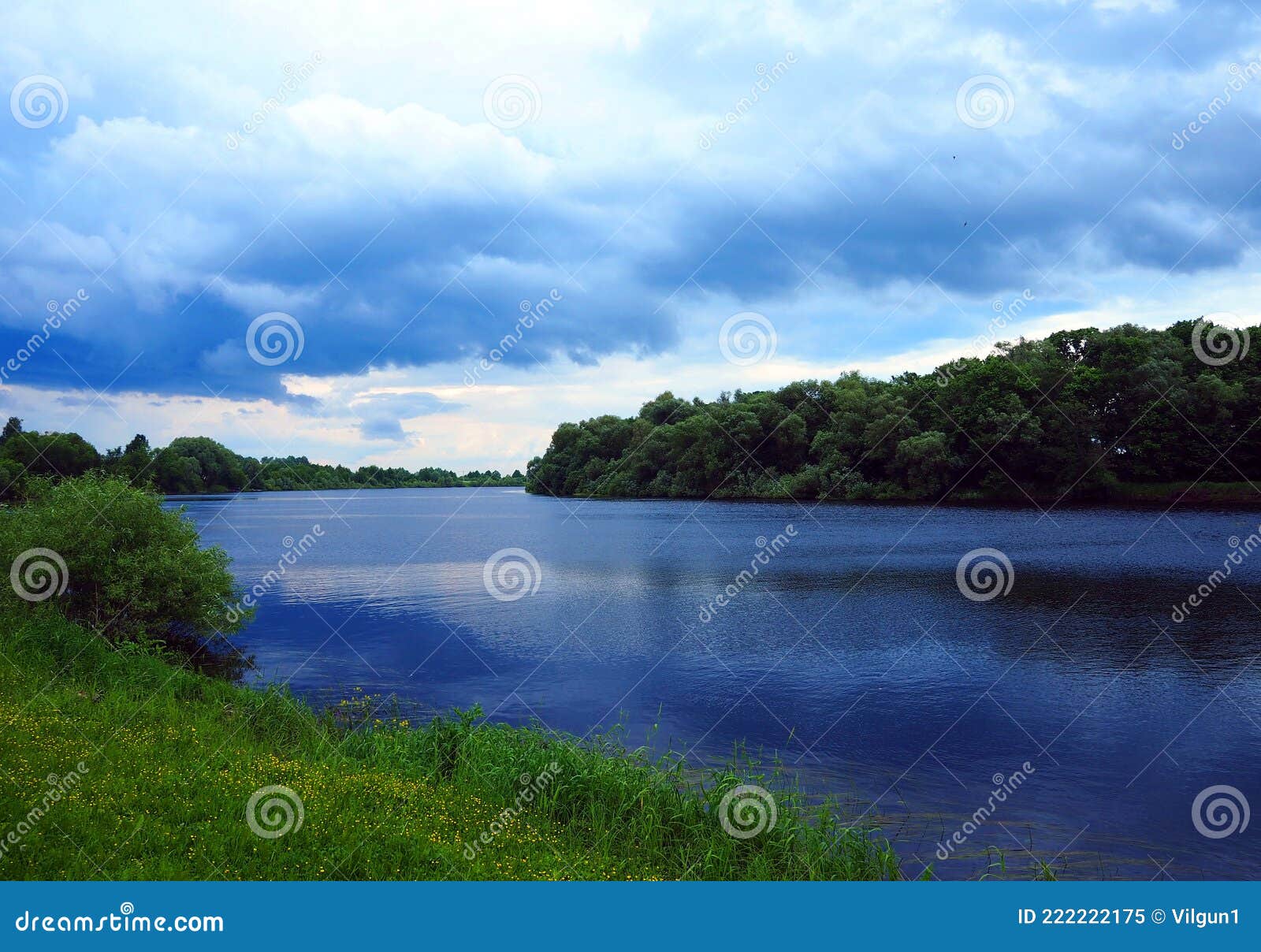 The Blue River Flows through the Forest Stock Image - Image of park ...