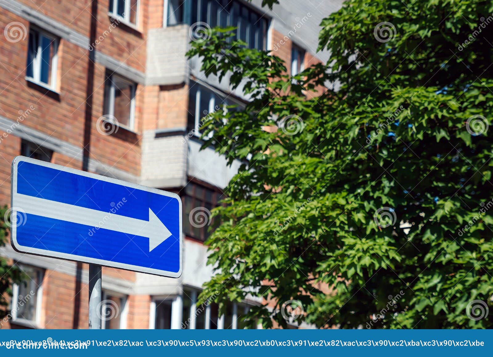 Blue Road Sign with Arrow stock image. Image of isolated - 159464297