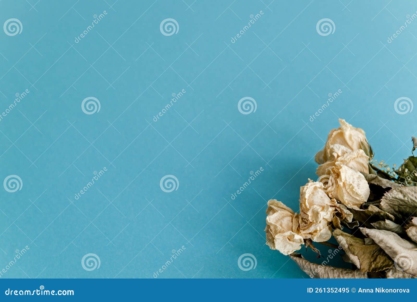 Blue Romantic Background with Flowers Stock Image - Image of flower ...
