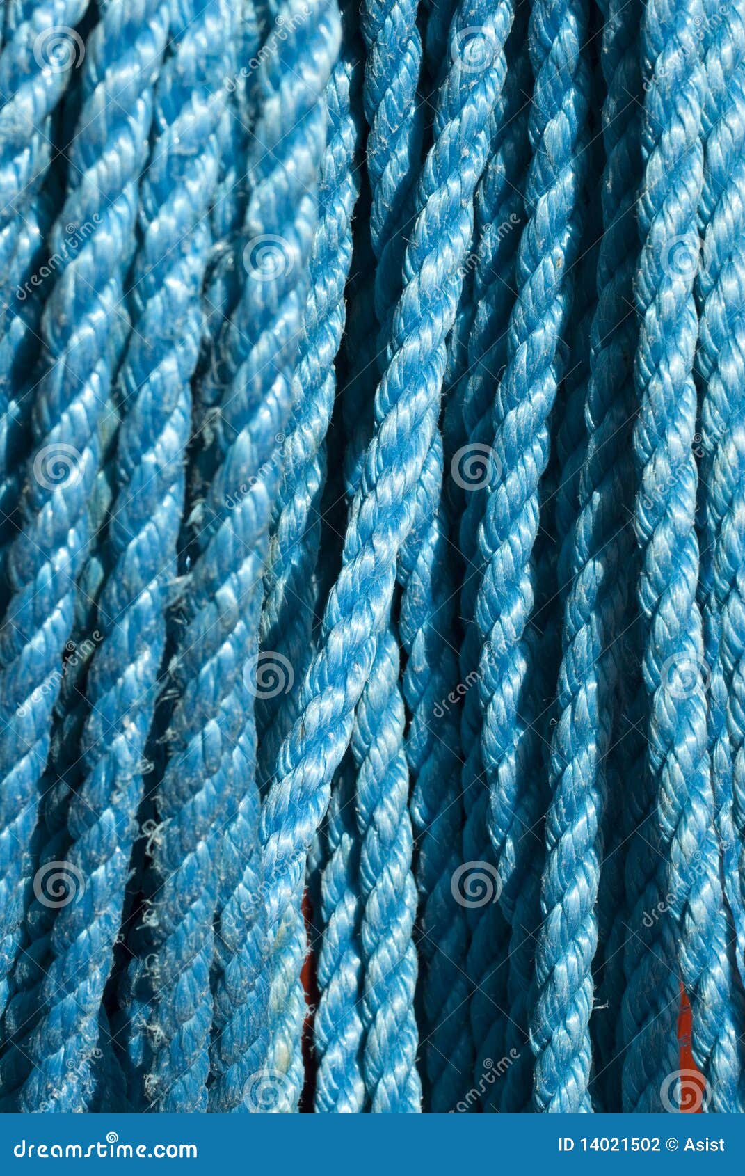 Blue rope stock photo. Image of nylon, vertical, cable - 14021502