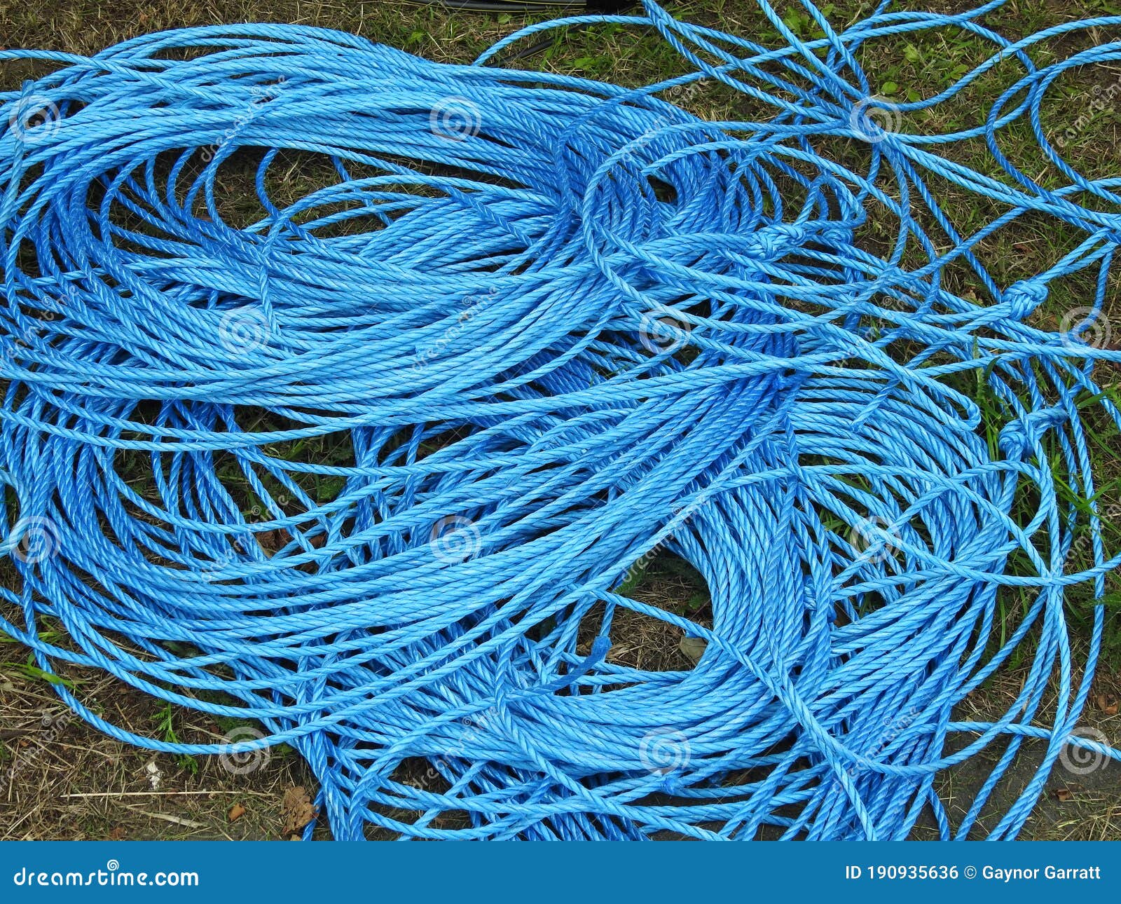 Blue rope on the ground stock photo. Image of ground - 190935636