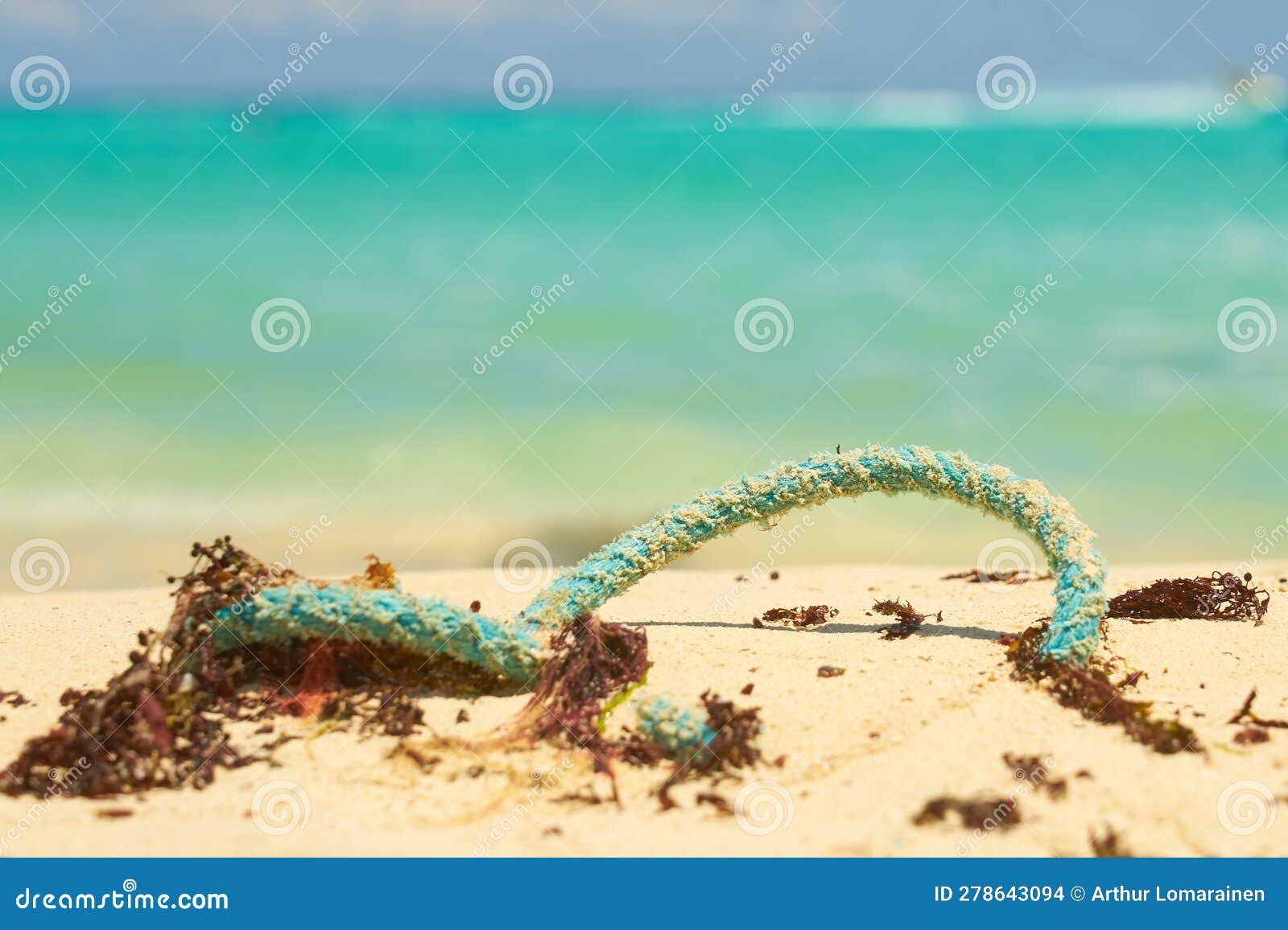 Blue Rope on the Sandy Beach of the Caribbean Sea. Stock Photo - Image ...