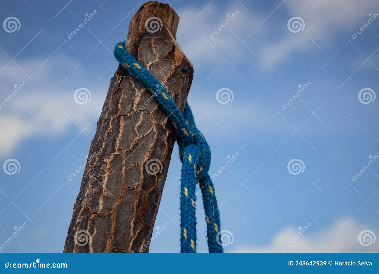 Blue Rope Tied To a Stick with a Knot Stock Image - Image of cord ...