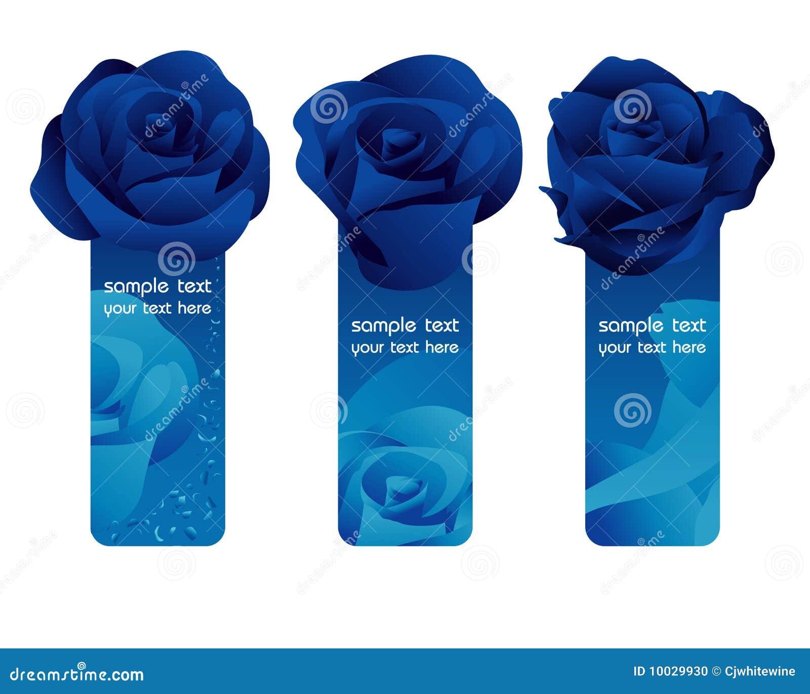 Blue rose stock vector. Illustration of flower, card - 10029930