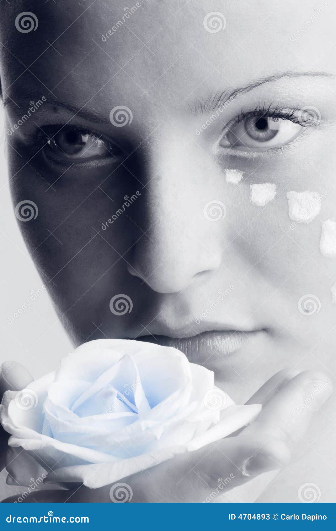 Blue rose stock image. Image of expression, eyes, flower - 4704893