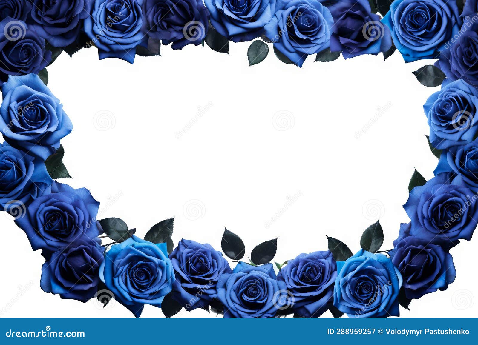 Blue Rose Border with Leaves and White Background with Place for Text ...