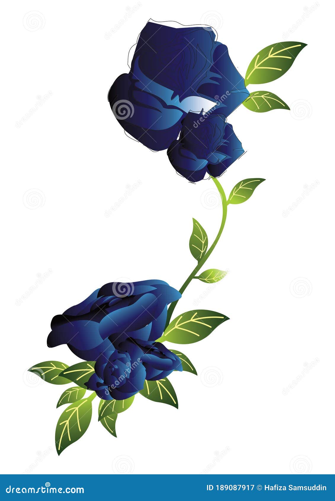 Blue Rose Design. Vector Illustration Decorative Design Stock Vector ...