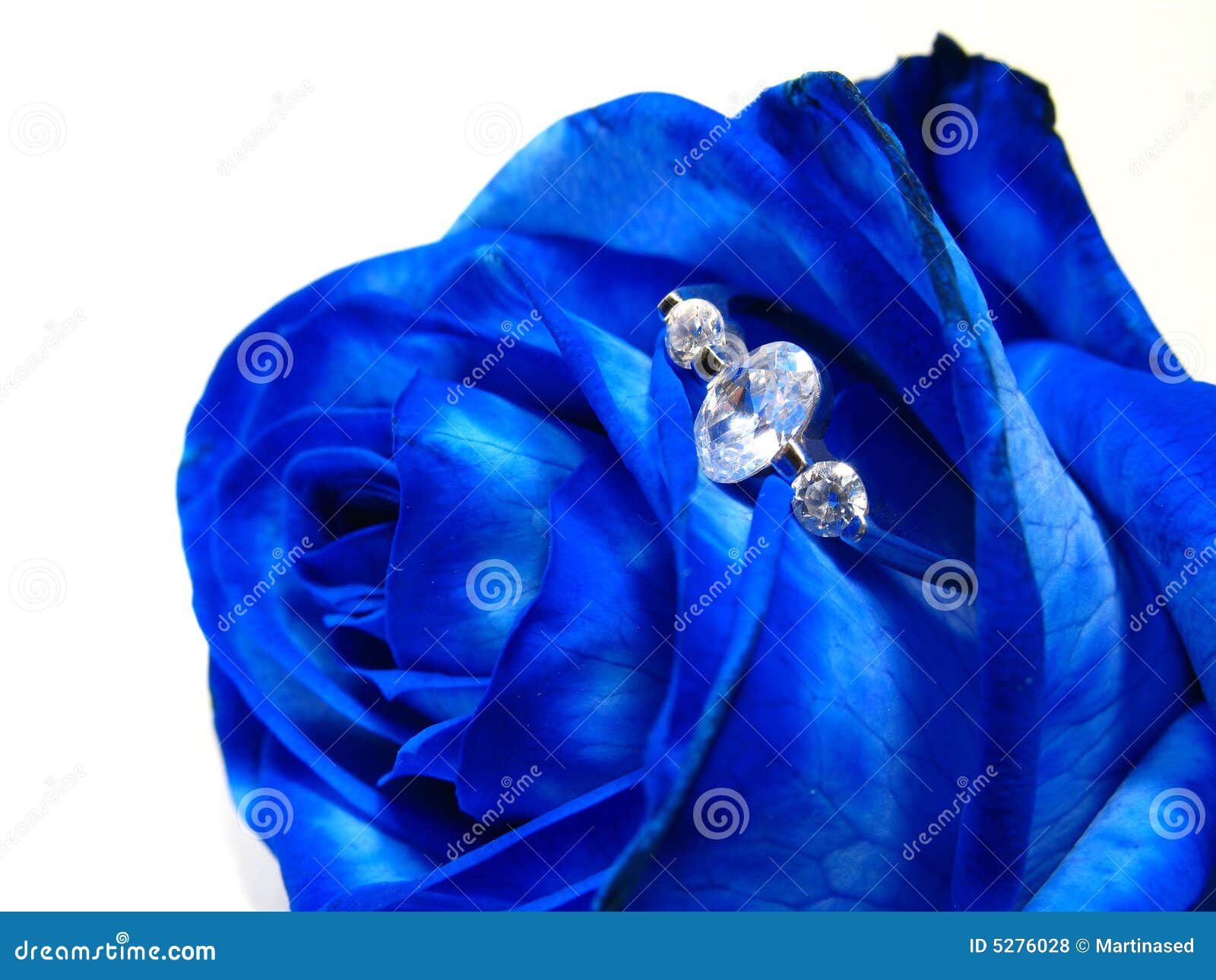 Blue Rose with Engagement Ring Stock Photo - Image of sapphire, flower ...