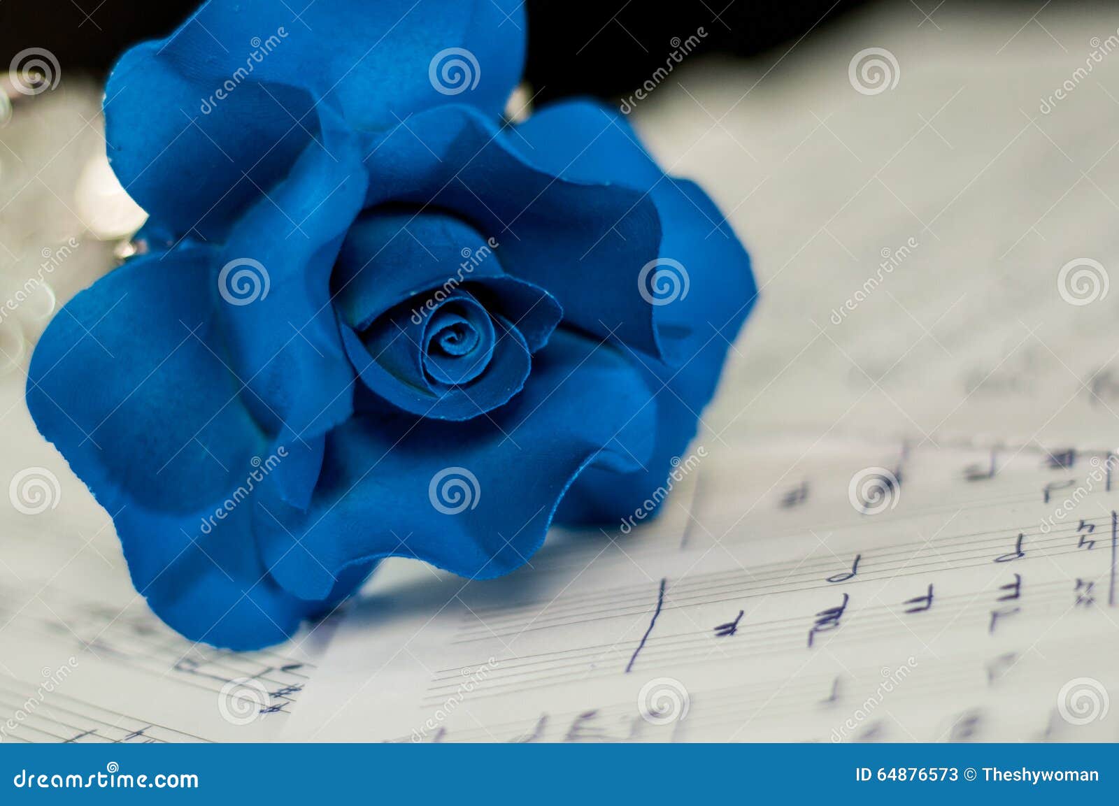 Blue Rose and the Music Notes Stock Image - Image of blue, relationship ...