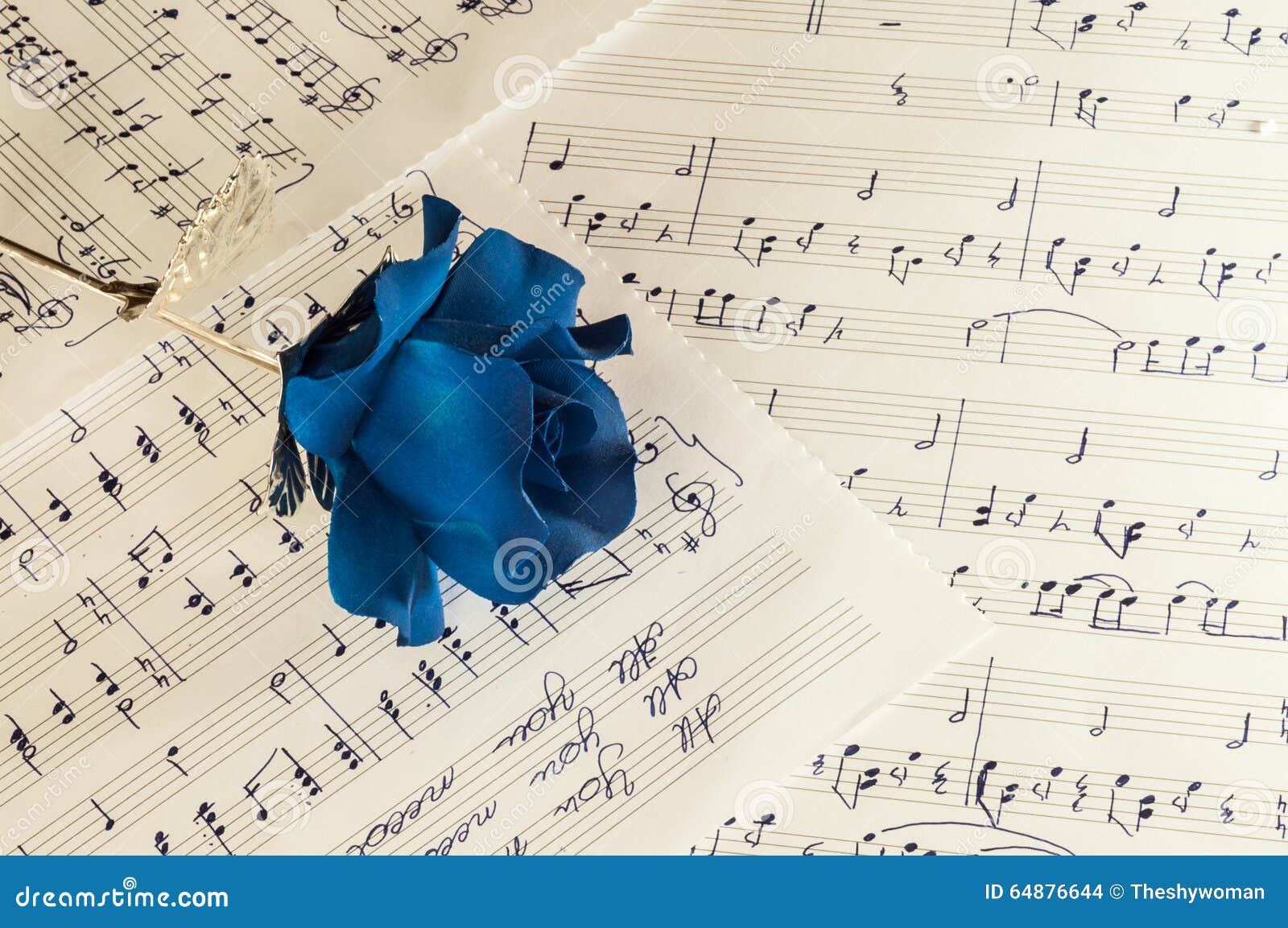 Blue Rose and the Music Notes Stock Photo - Image of relationship ...