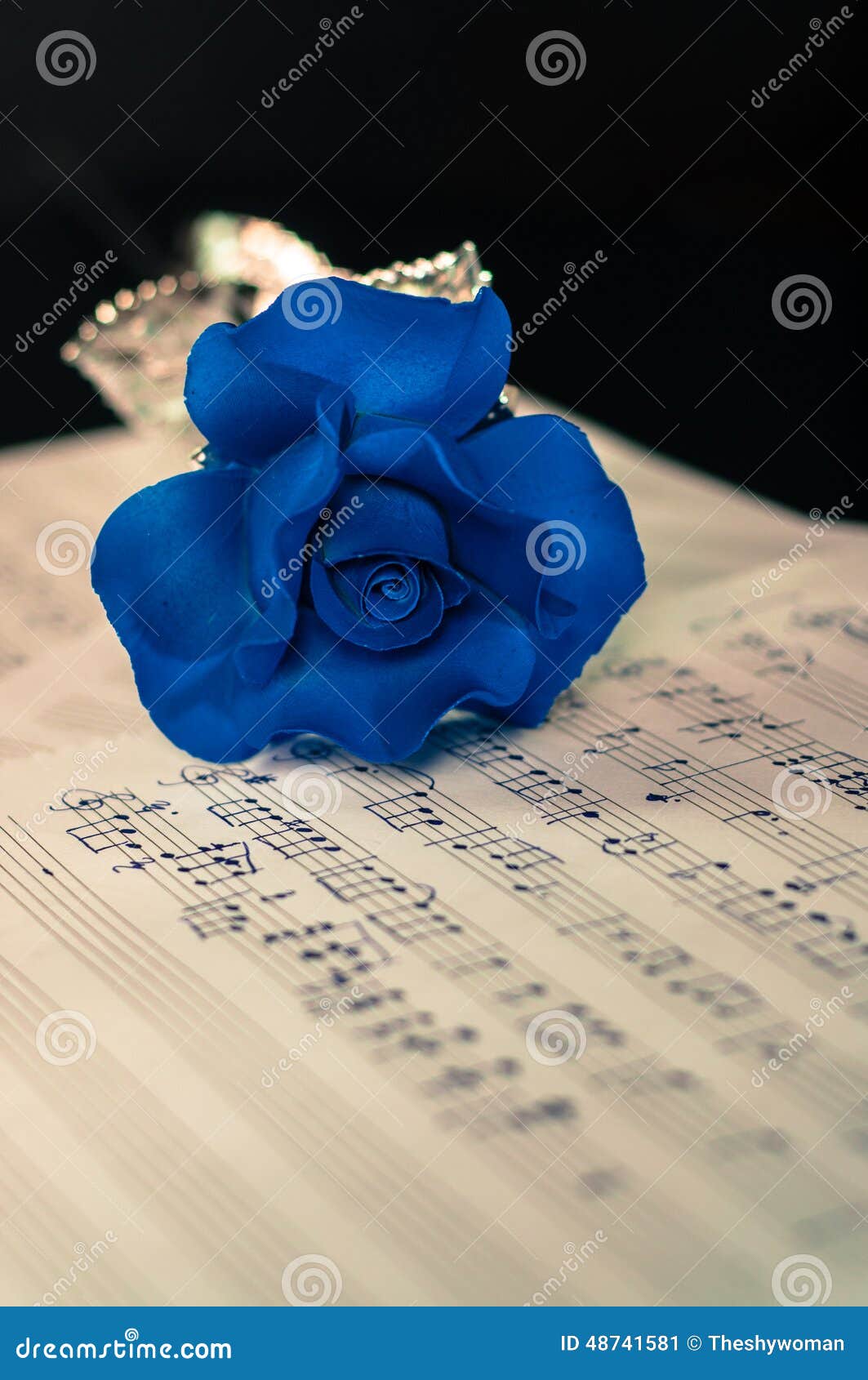 Blue Rose and the Music Notes Stock Image - Image of valentine, expres ...
