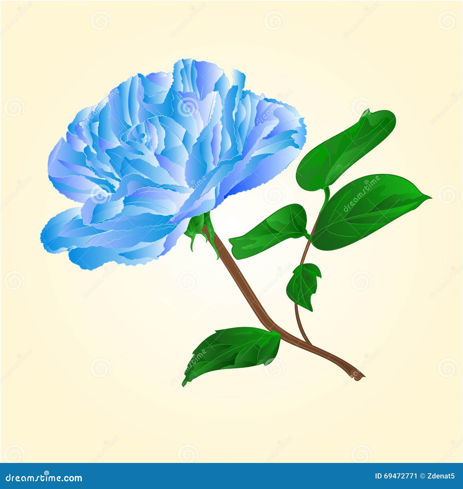 Blue rose stem vector stock vector. Illustration of petal - 69472771