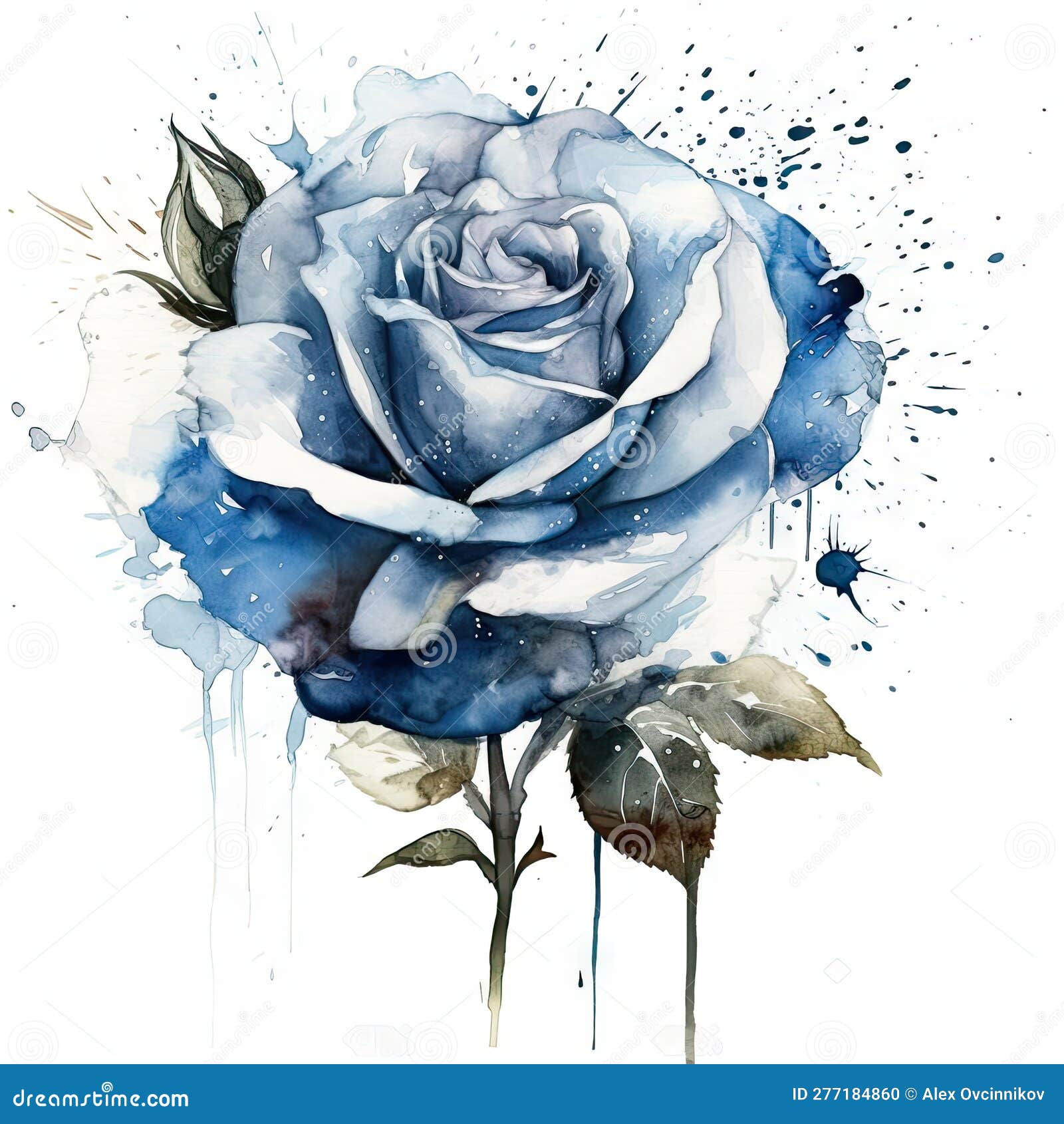 Blue Rose Watercolor on White Background for Invitations and Posters ...