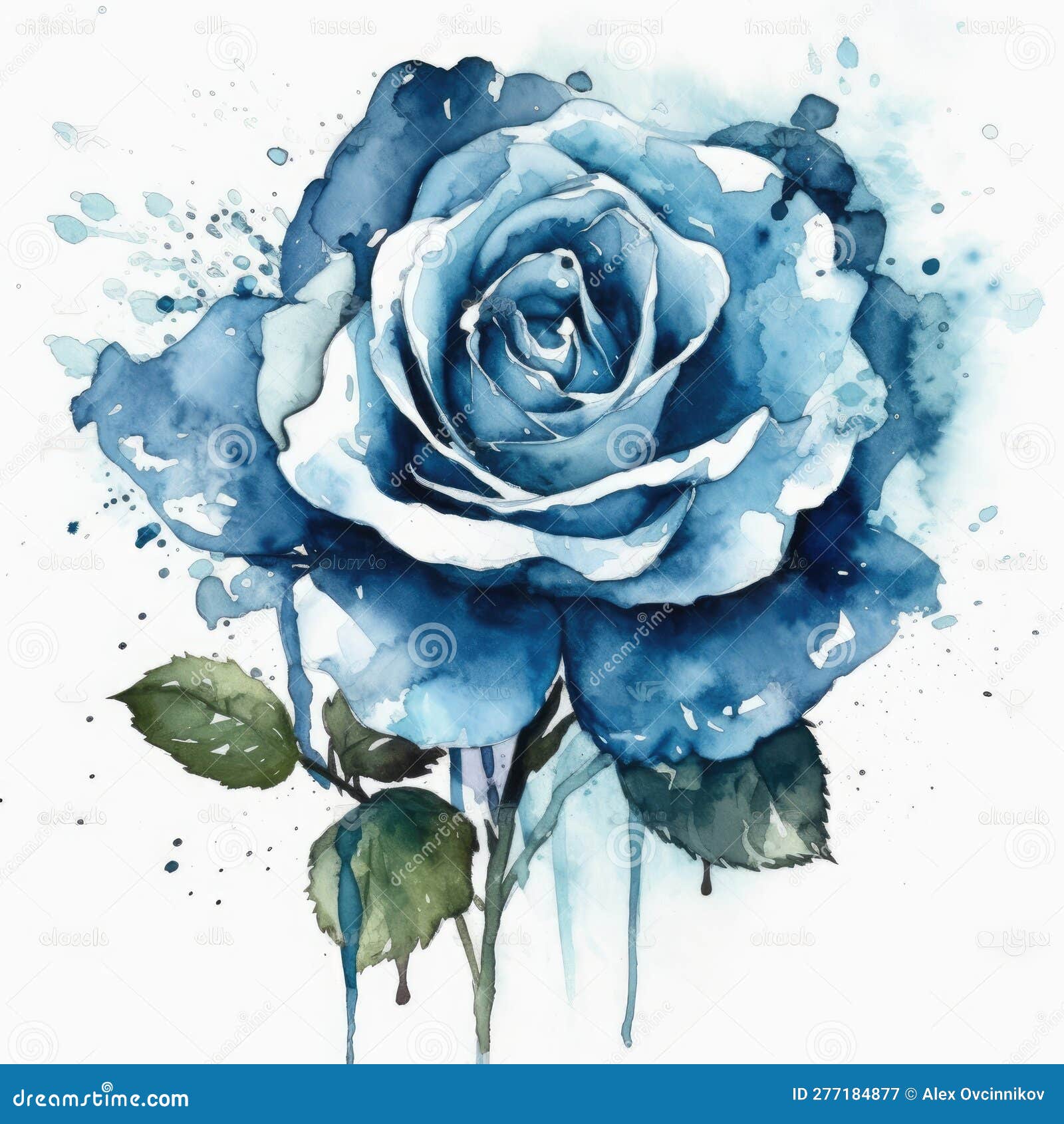 Blue Rose Watercolor on White Background for Invitations and Posters ...