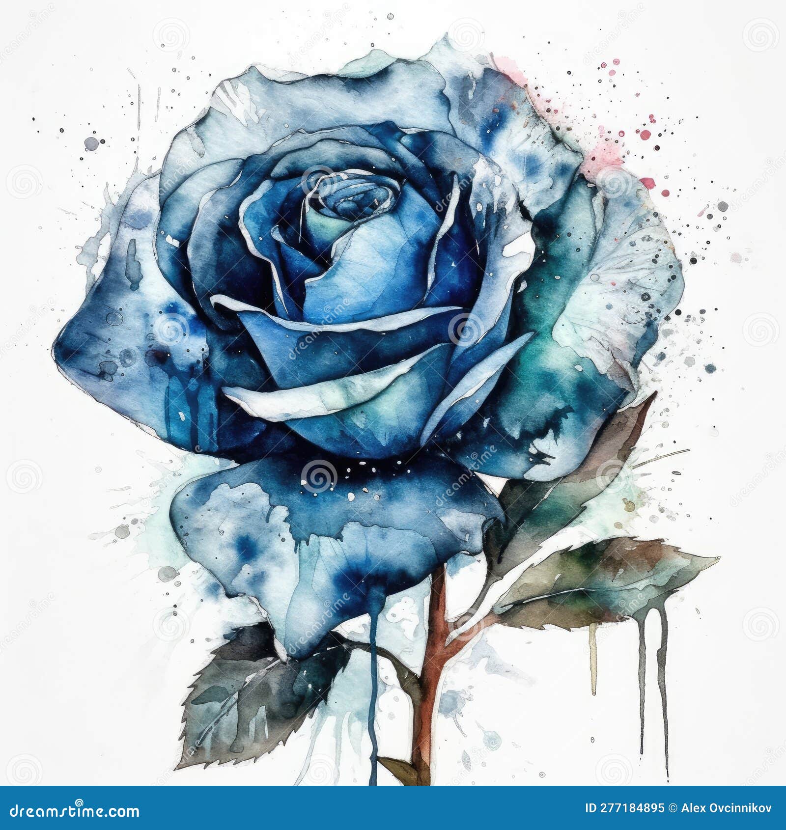 Blue Rose Watercolor on White Background for Invitations and Posters ...