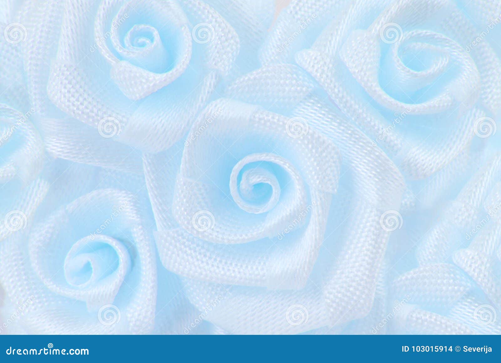 Blue Roses Flower Background Stock Photo - Image of blue, floral: 103015914