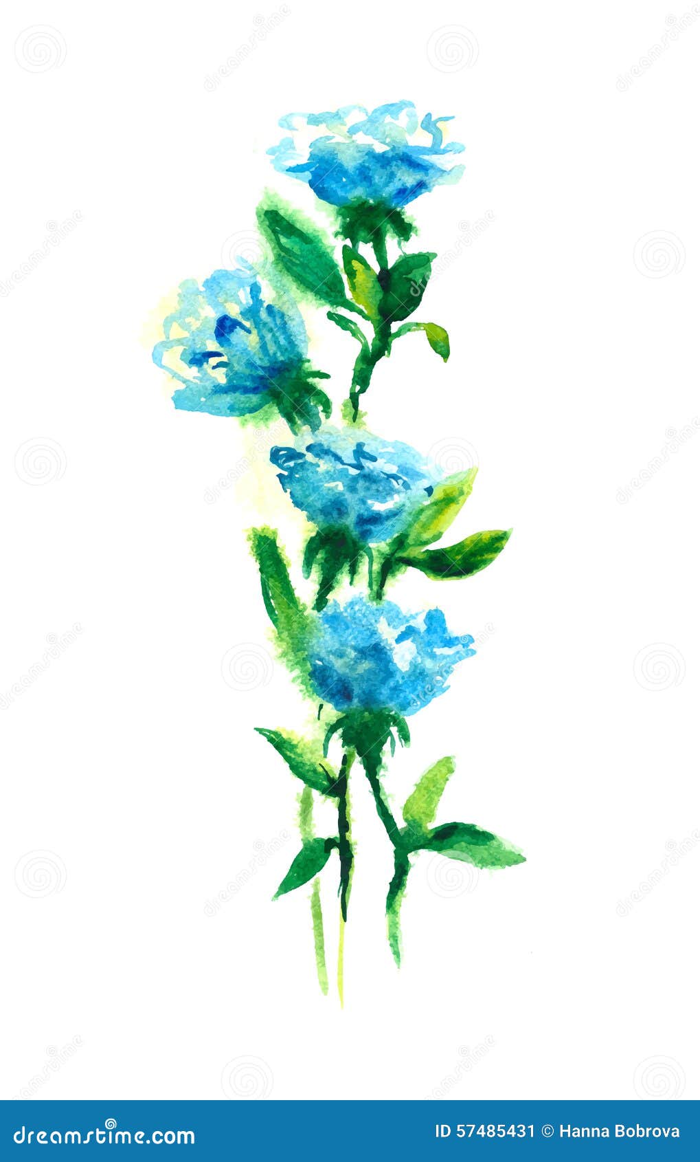 Blue Roses. Watercolor Drawing Stock Vector - Illustration of flower ...