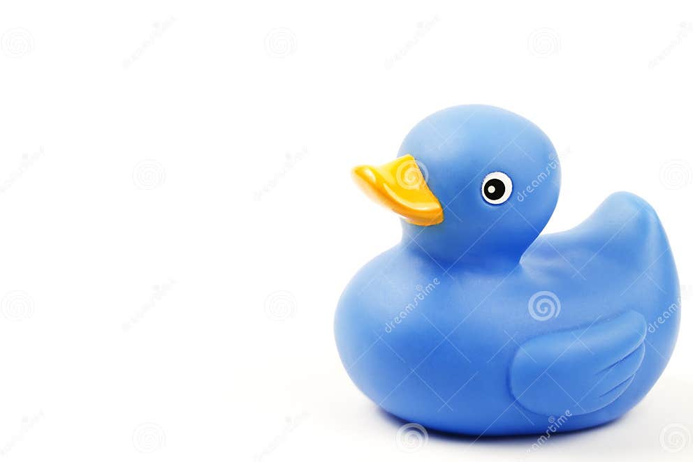 Blue rubber duck stock photo. Image of show, orange, white - 15027496