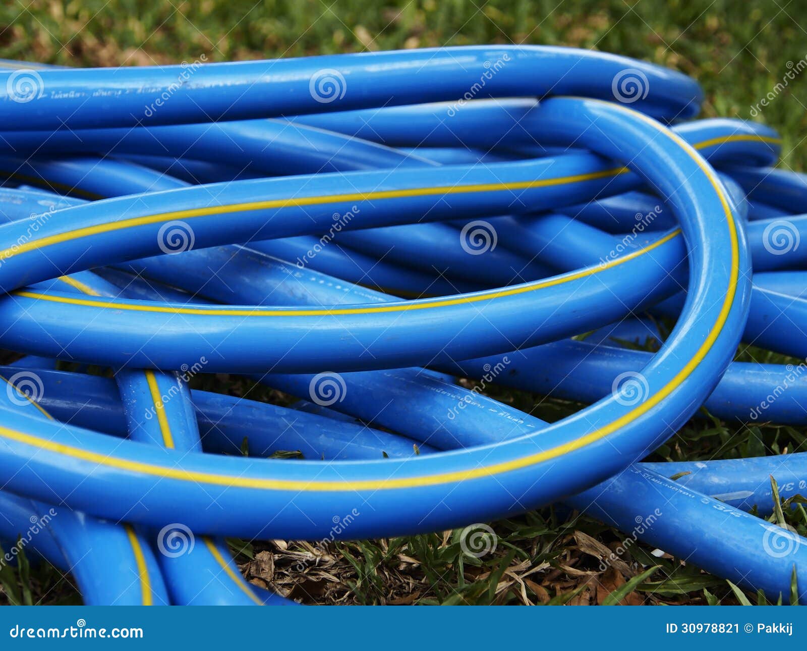 Blue Rubber Tube on grass stock image. Image of gardening - 30978821