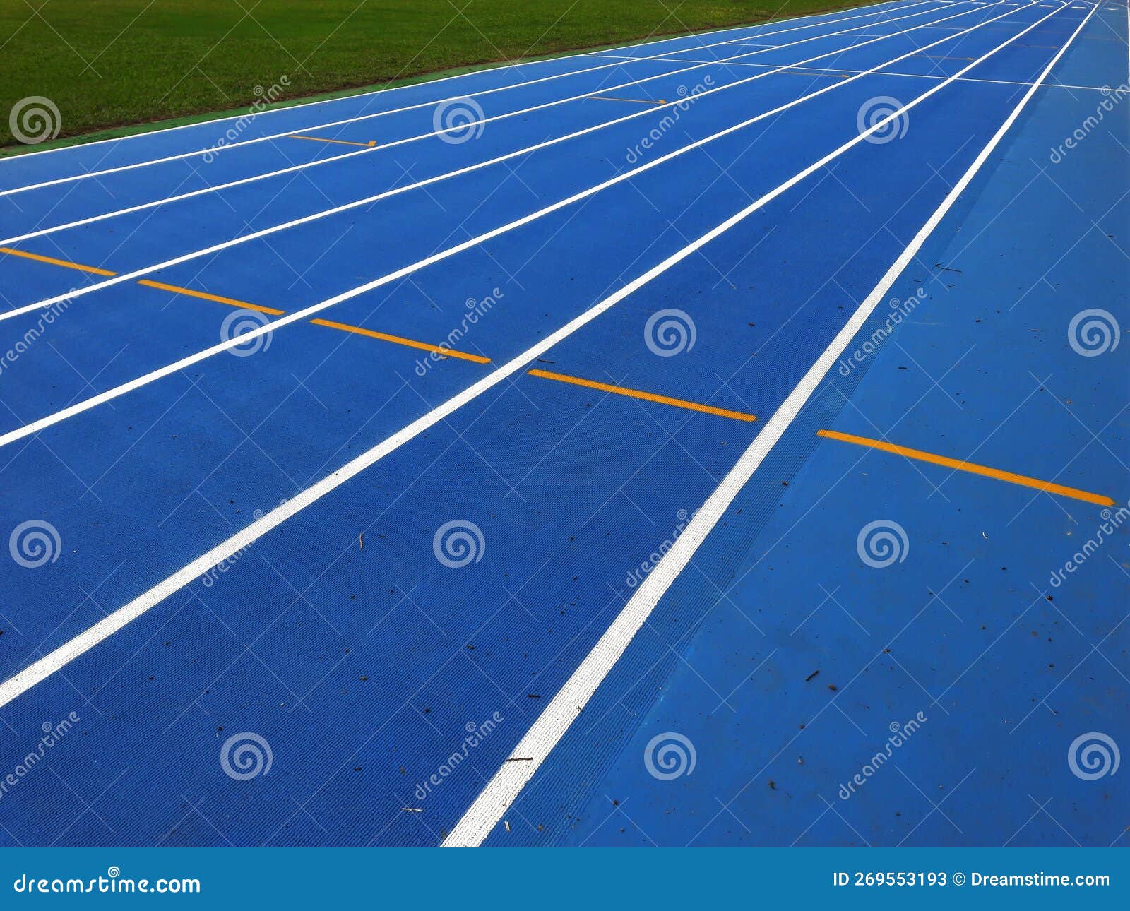 Blue Runway. the Start and End of the Stadium Track Stock Image - Image ...