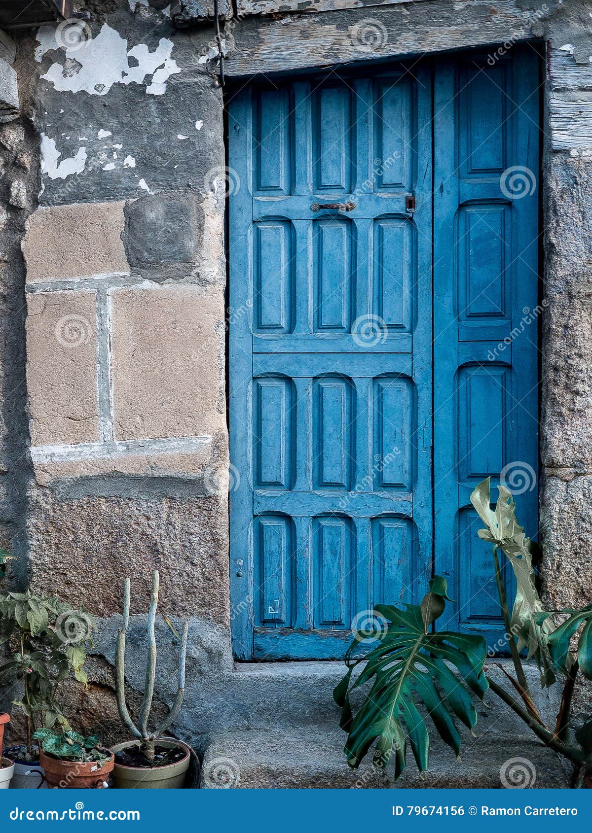 Rustic Wood Door Background
