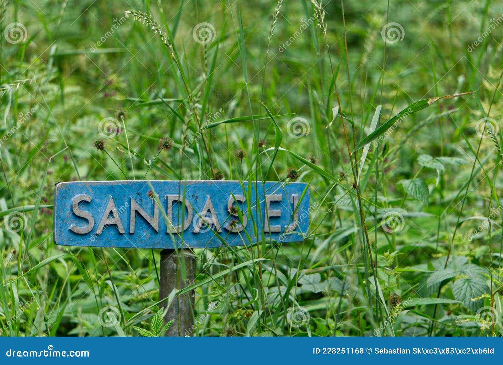 Blue Sandas Ej - Sign stock photo. Image of soil, vegetation - 228251168