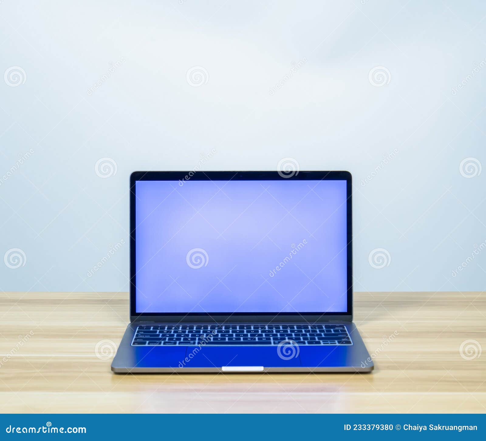 Blue Screen on Laptop with Copy Space for Making Presentation Stock ...