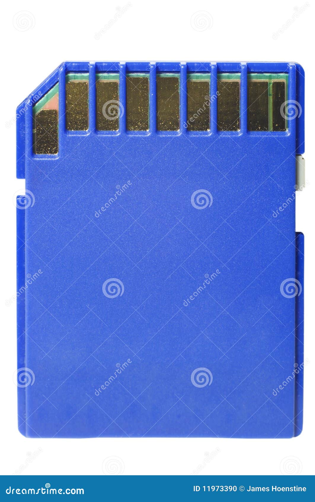 Blue SD Card on White with Clipping Path Stock Photo - Image of close ...