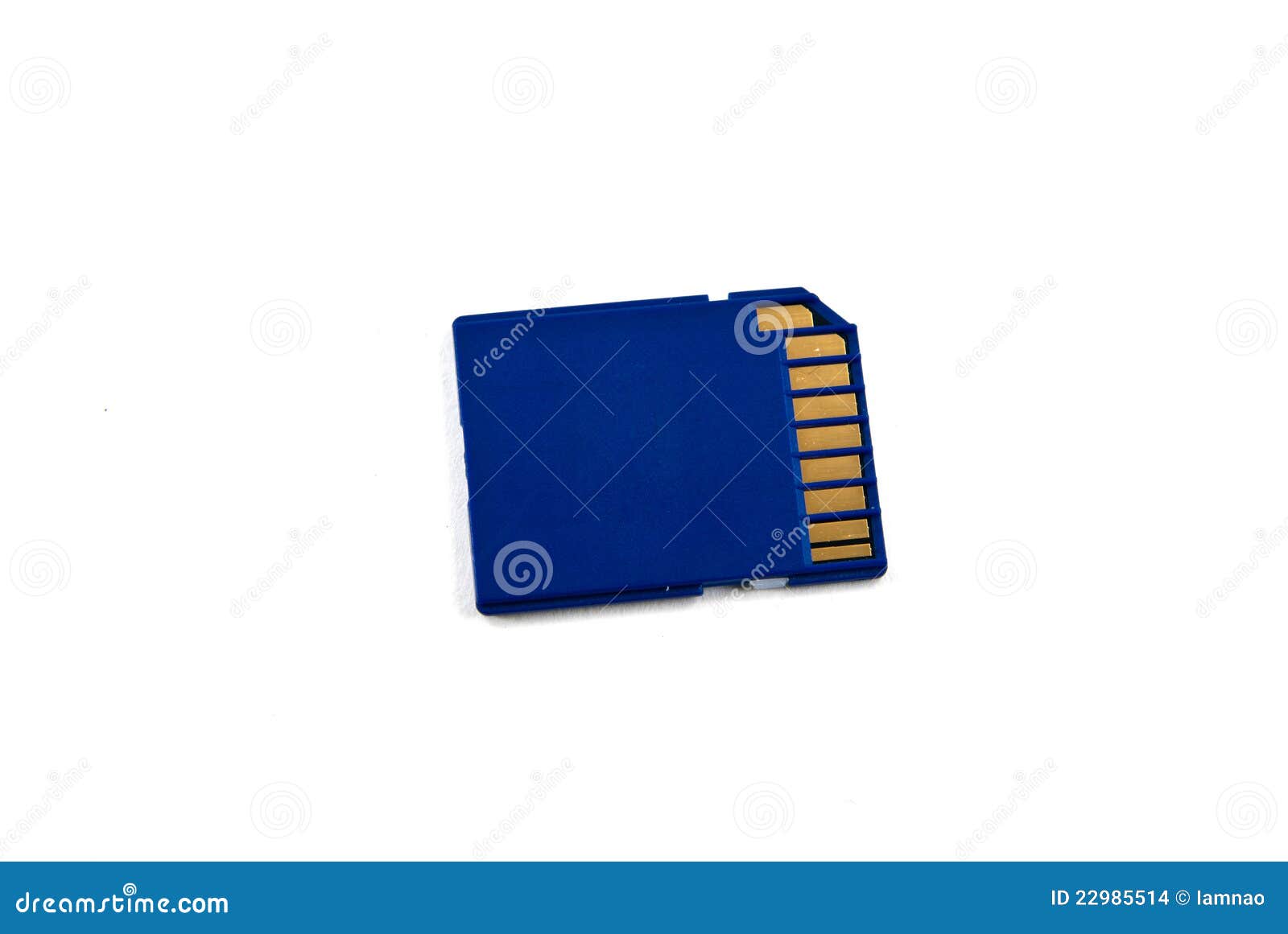 Blue SD memory card stock photo. Image of media, storage - 22985514