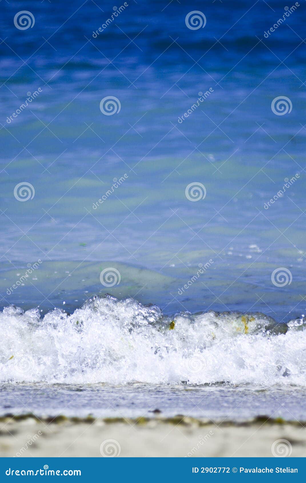 Blue Sea stock photo. Image of seaside, nature, ocean - 2902772