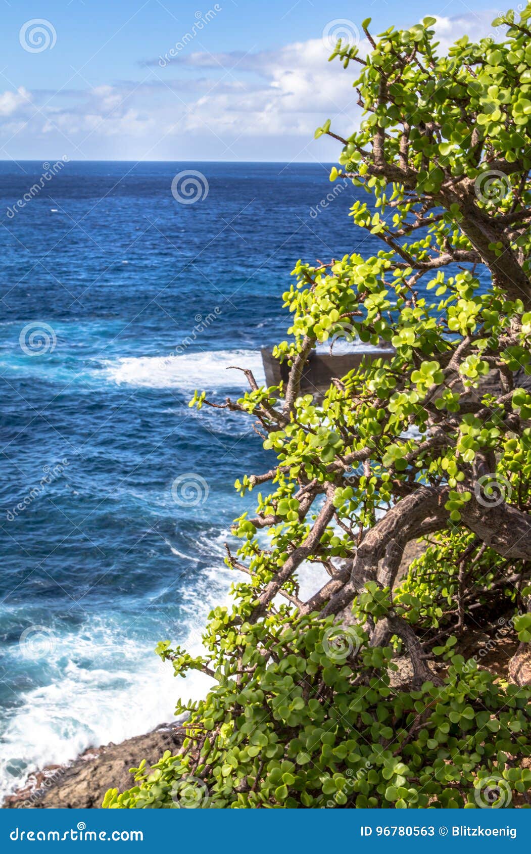 Blue sea and green tree stock image. Image of tourism - 96780563