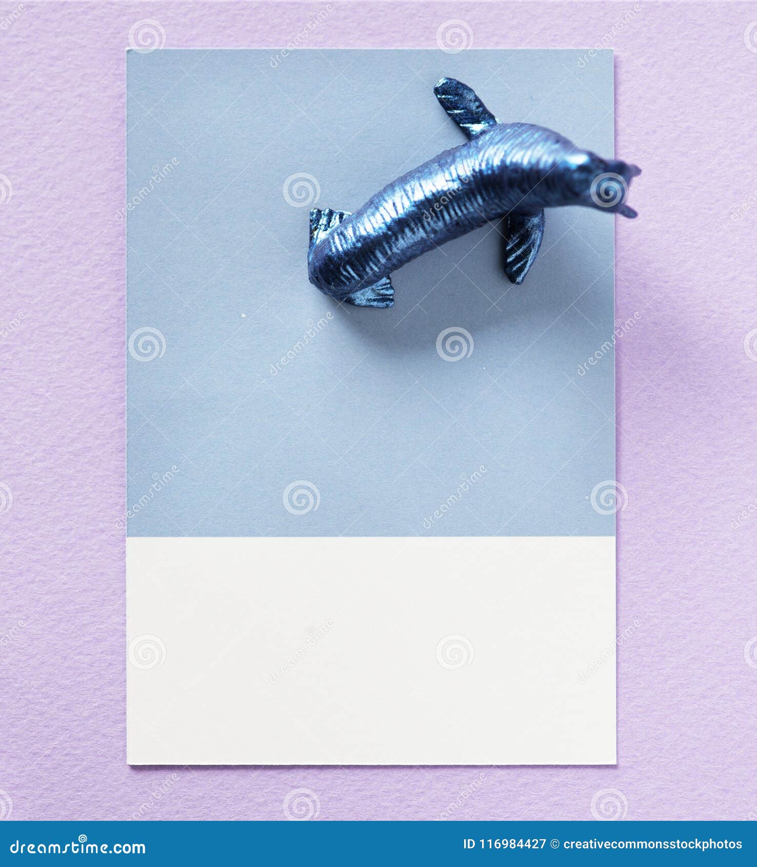 Blue Sea Lion Inflatable Toy Picture. Image: 116984427