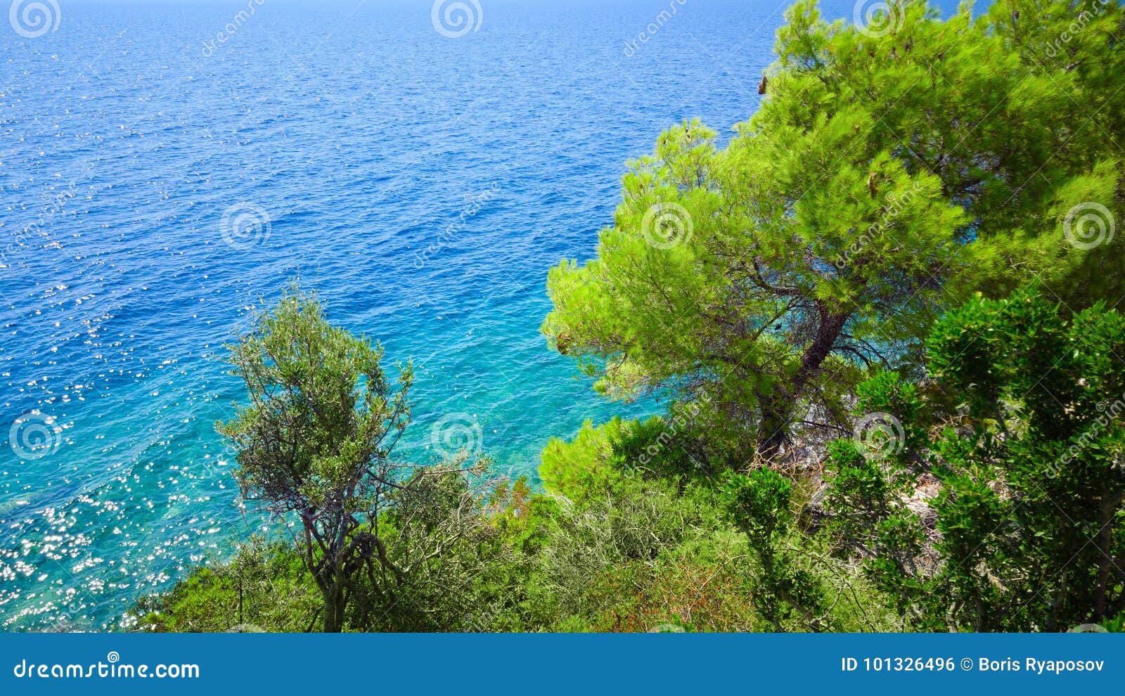 Blue sea shore stock photo. Image of summer, pine, resort - 101326496