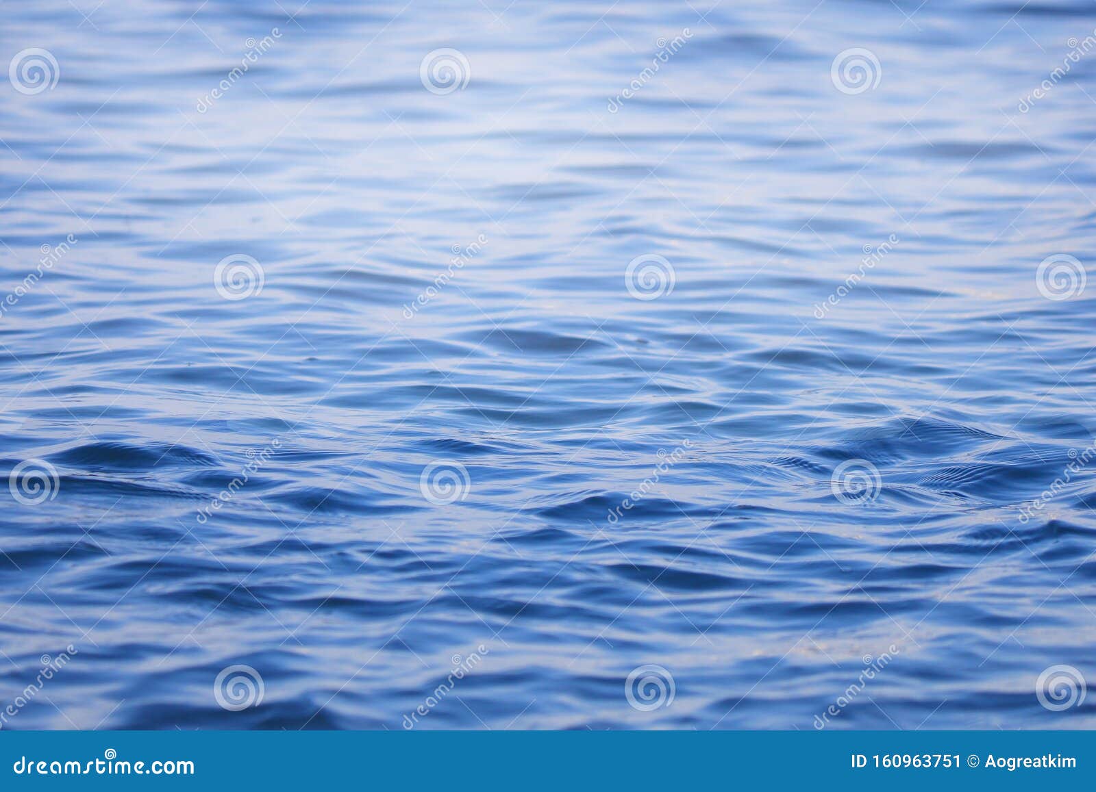 Blue Sea Water with Fox Background. for Text or Design Stock Image ...