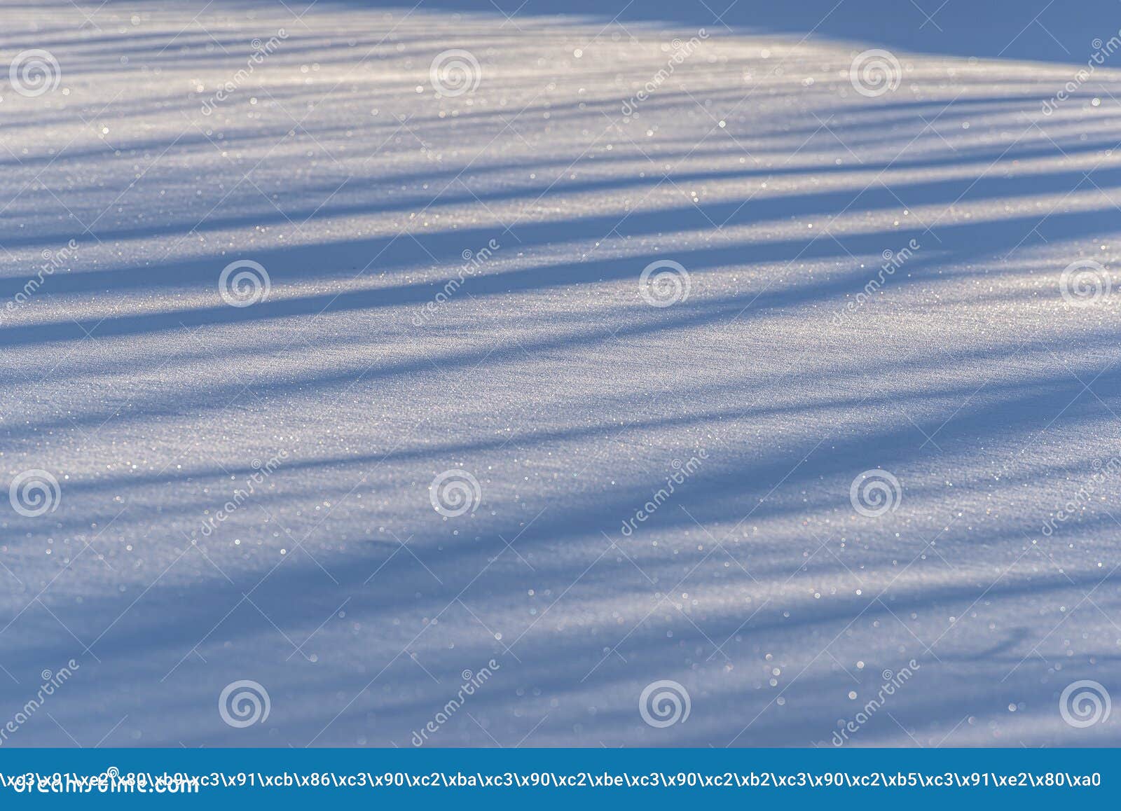 Blue Shadows of Trees in the Snow Stock Photo - Image of clean, bright ...