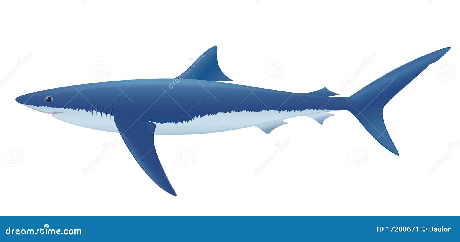 Set Of Blue Shark Cartoon Character Isolated On White Background ...