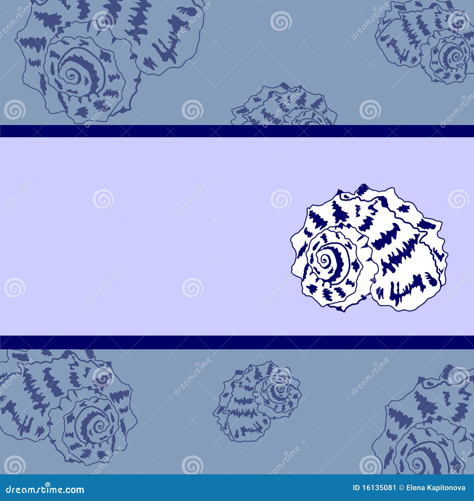 Blue shell stock vector. Illustration of painting, elegance - 16135081