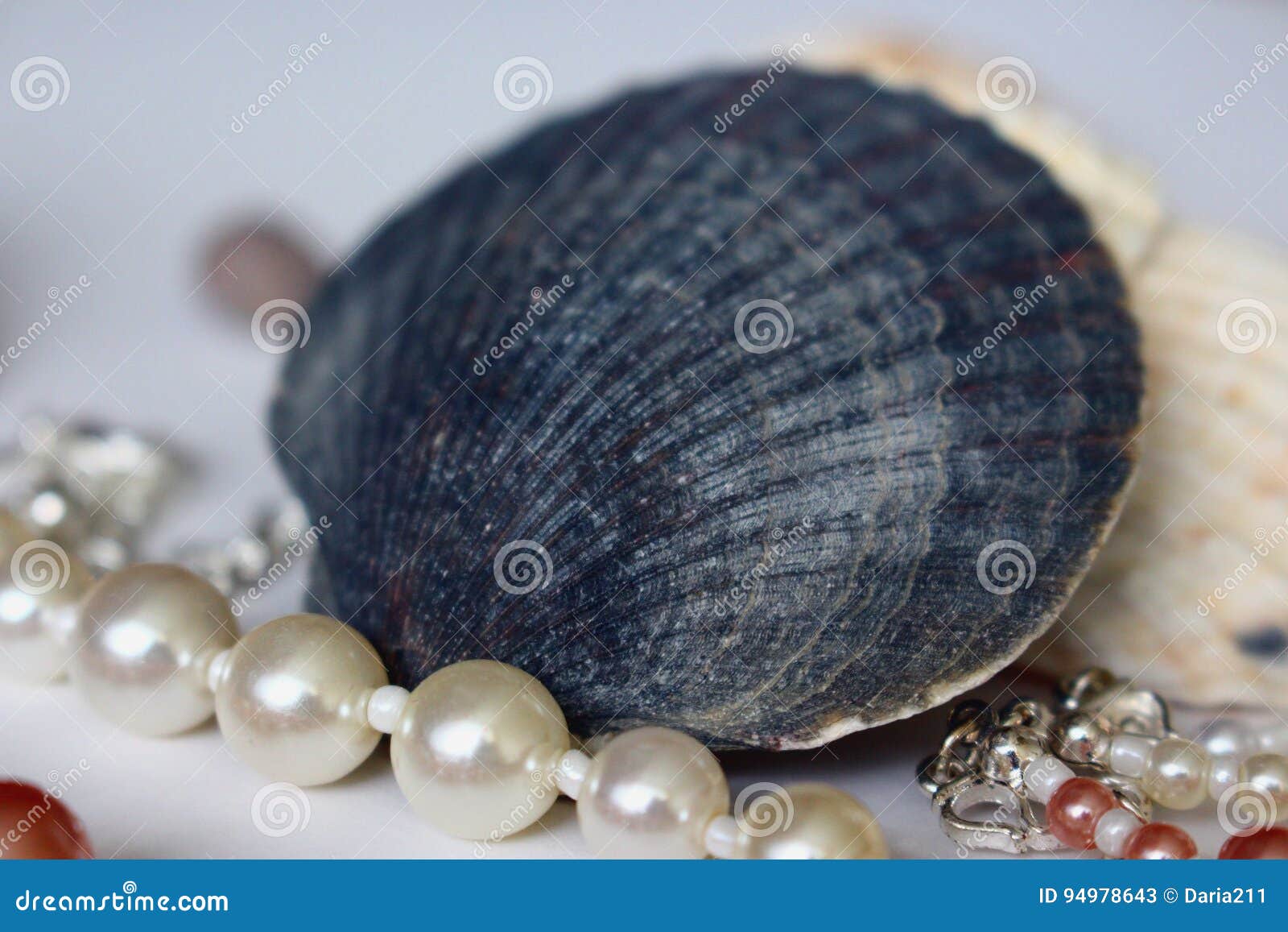 Blue Shell and String of White Pearls Stock Image - Image of ...