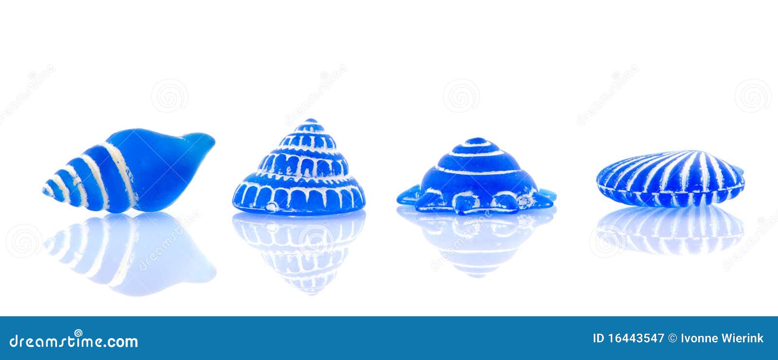 Blue shells stock image. Image of shells, marine, glass - 16443547