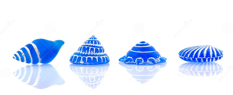 Blue shells stock image. Image of shells, marine, glass - 16443547