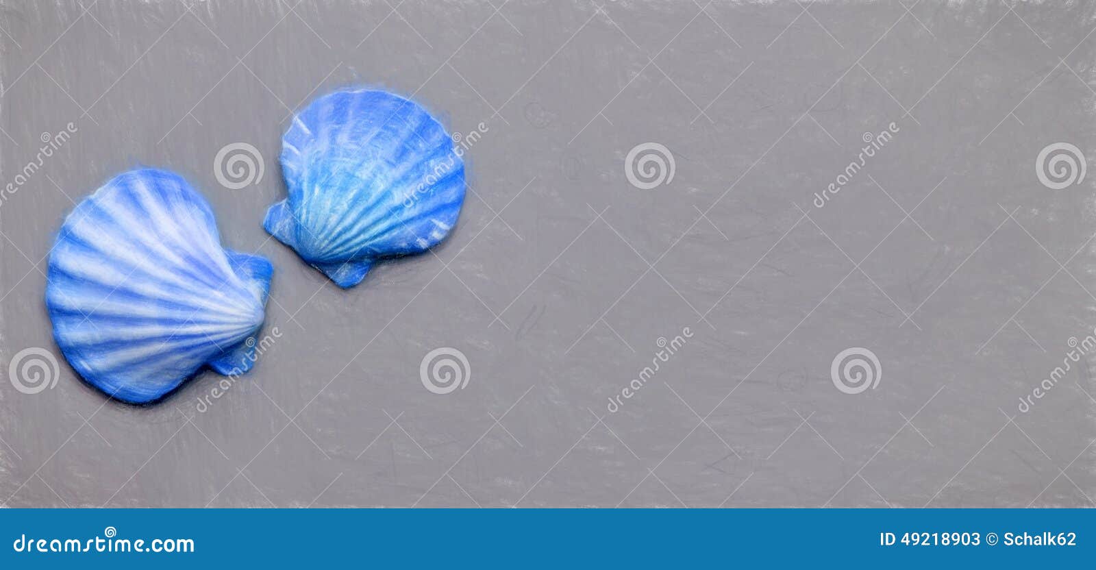 Blue shells stock image. Image of screen, front, board - 49218903