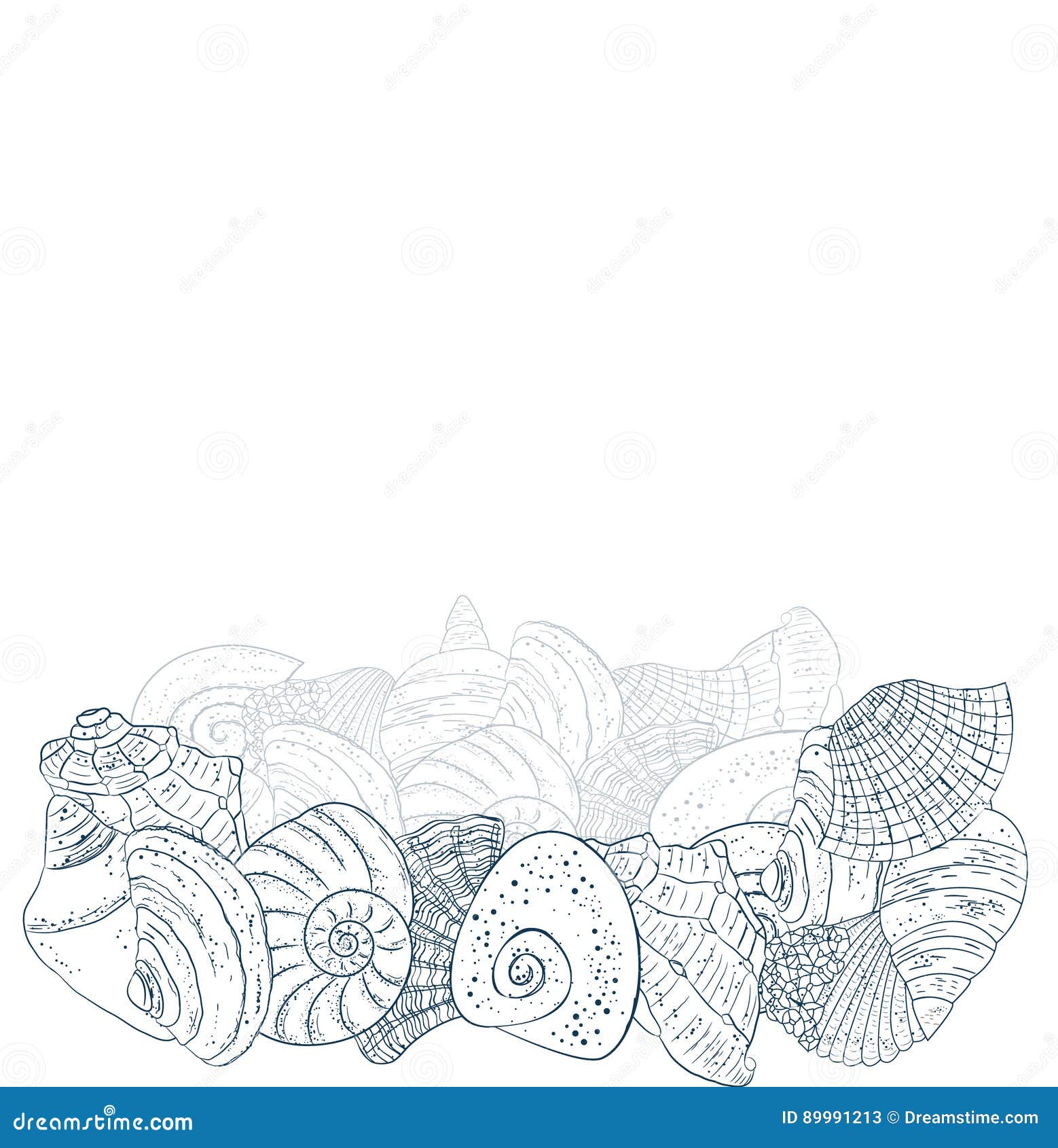 Blue Shells on White Background Stock Illustration - Illustration of ...