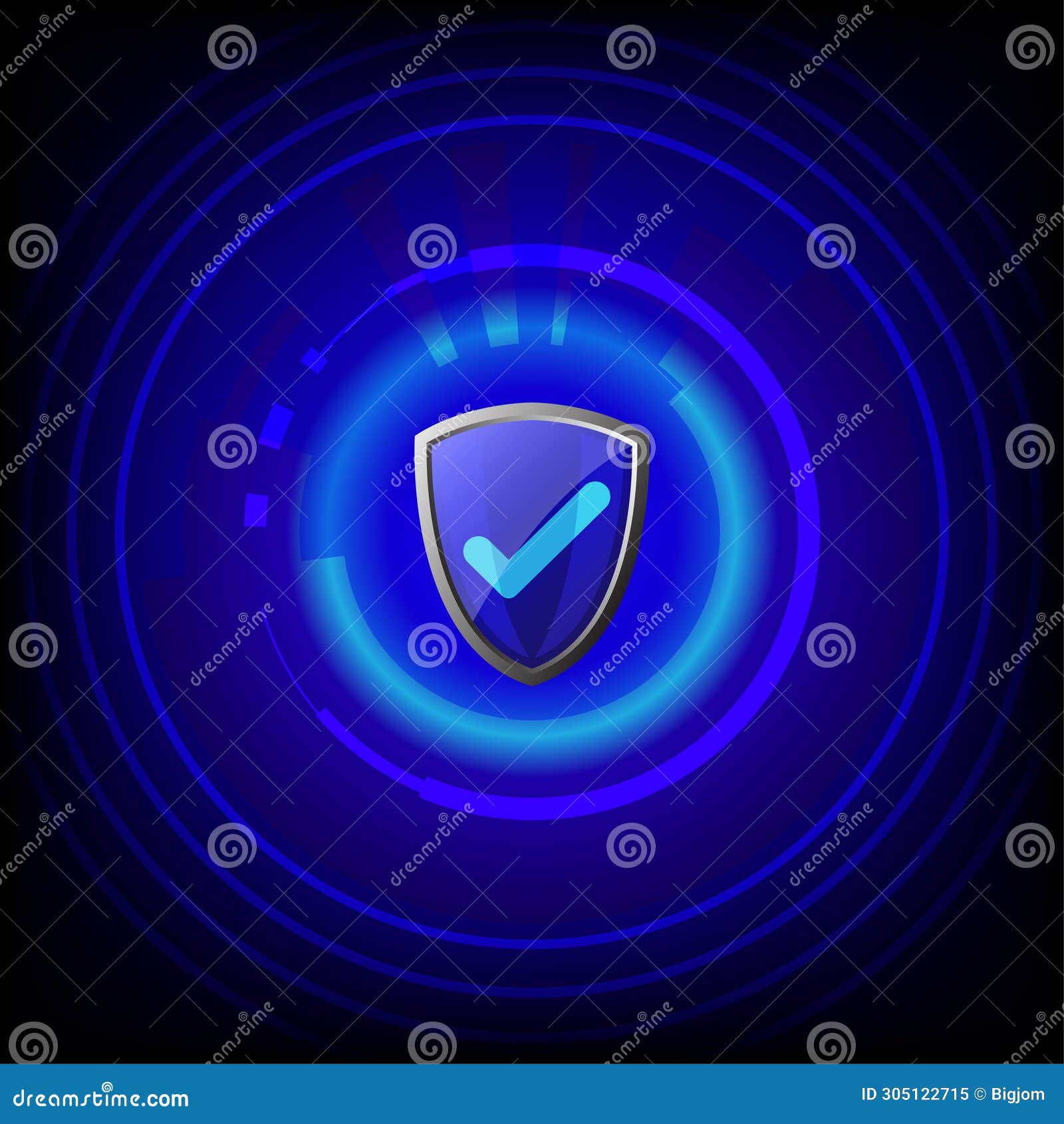 Blue Shield Protection Icon with Green Check. Blue Check Protection ...