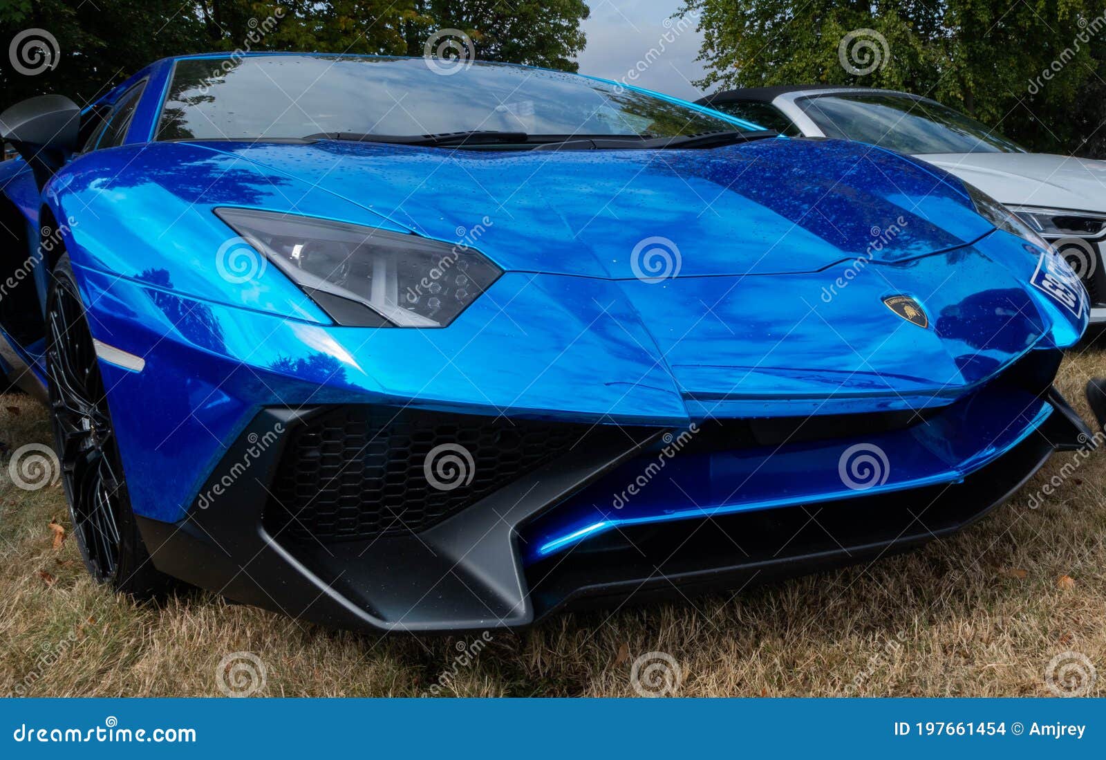 Lamborghini Chrome Blue