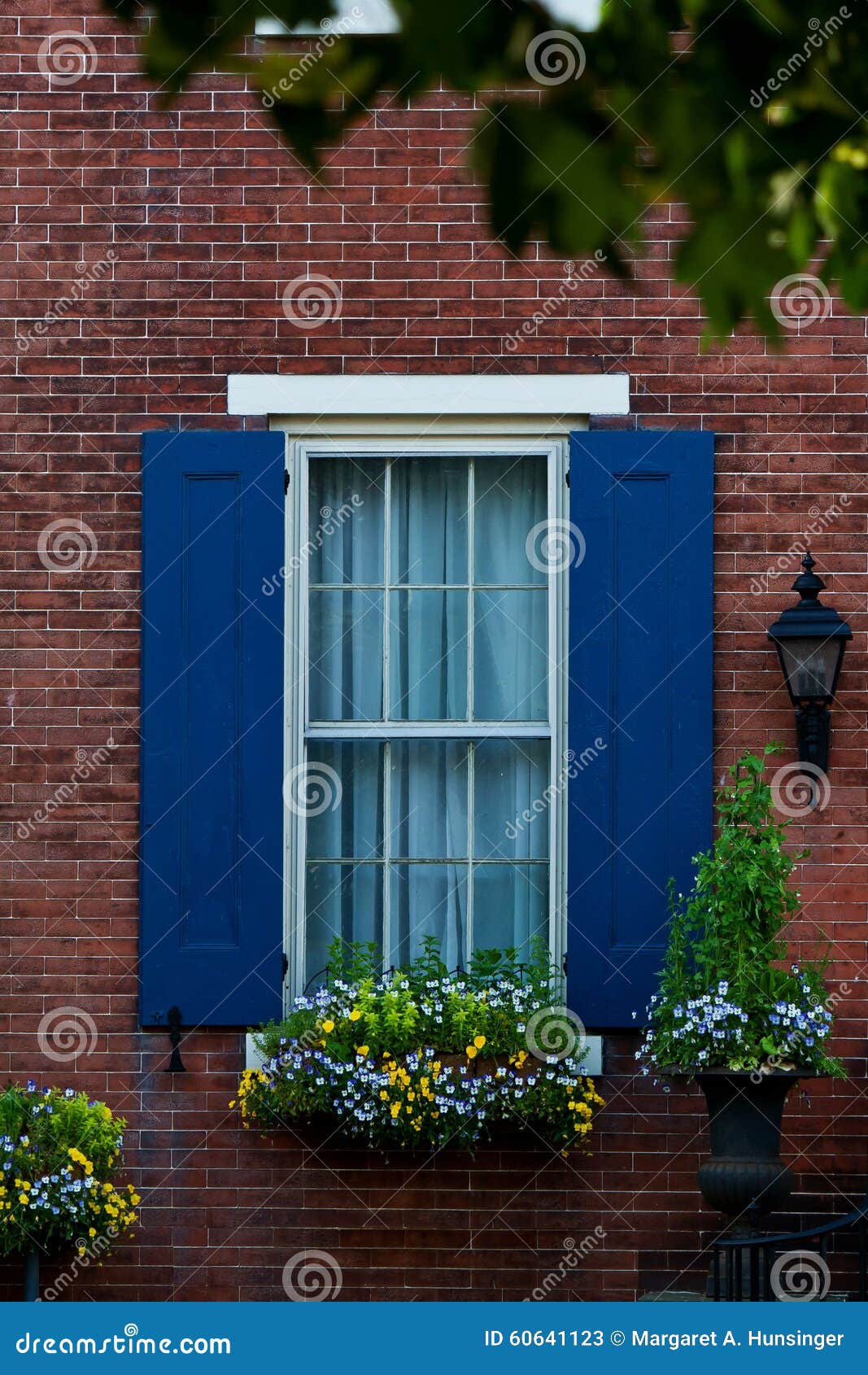 Blue Shuttered Window with Flower Box Stock Image - Image of flower ...