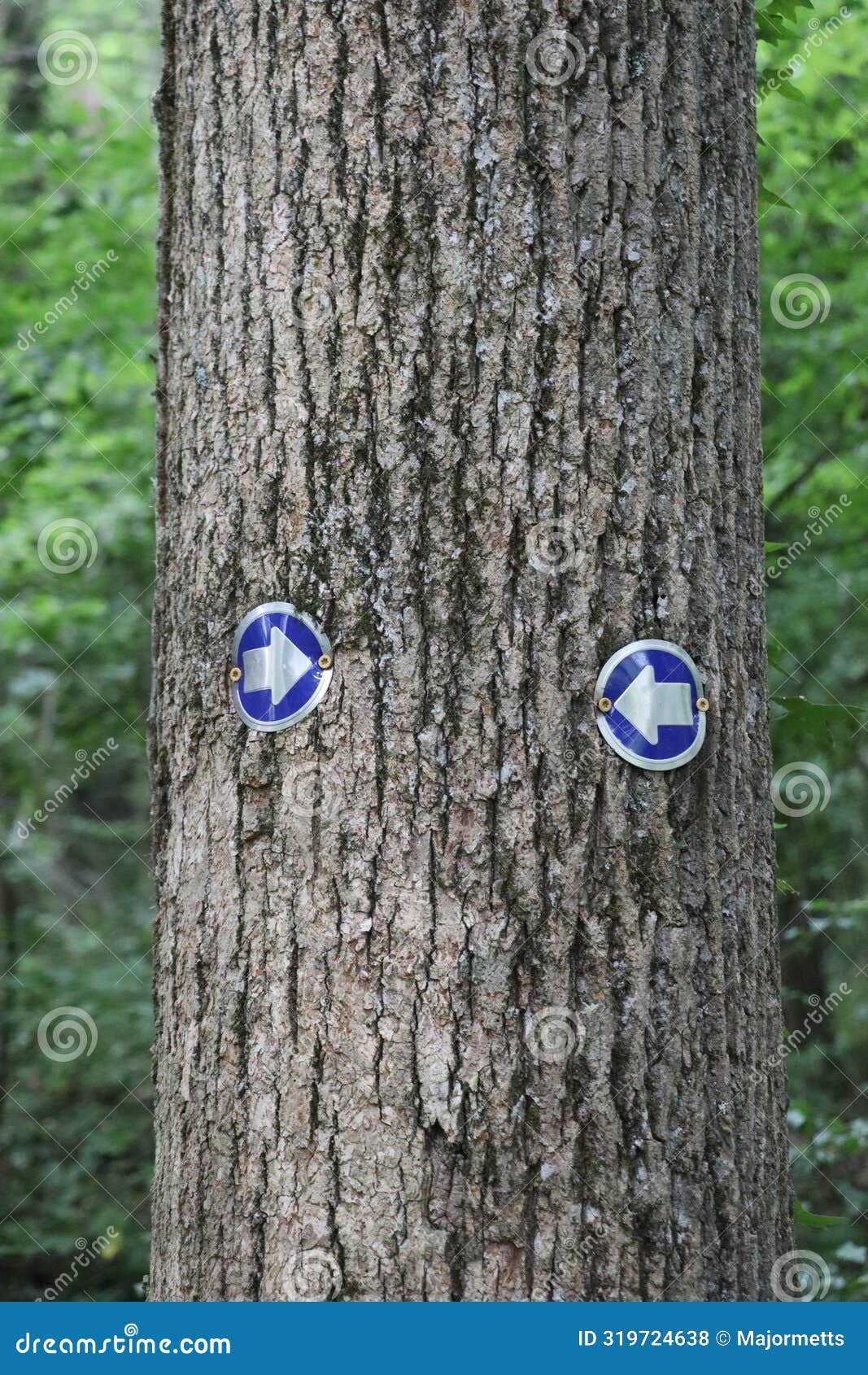 Blue and Silver Arrow Disk Blazes Pointing in Opposite Directions on ...