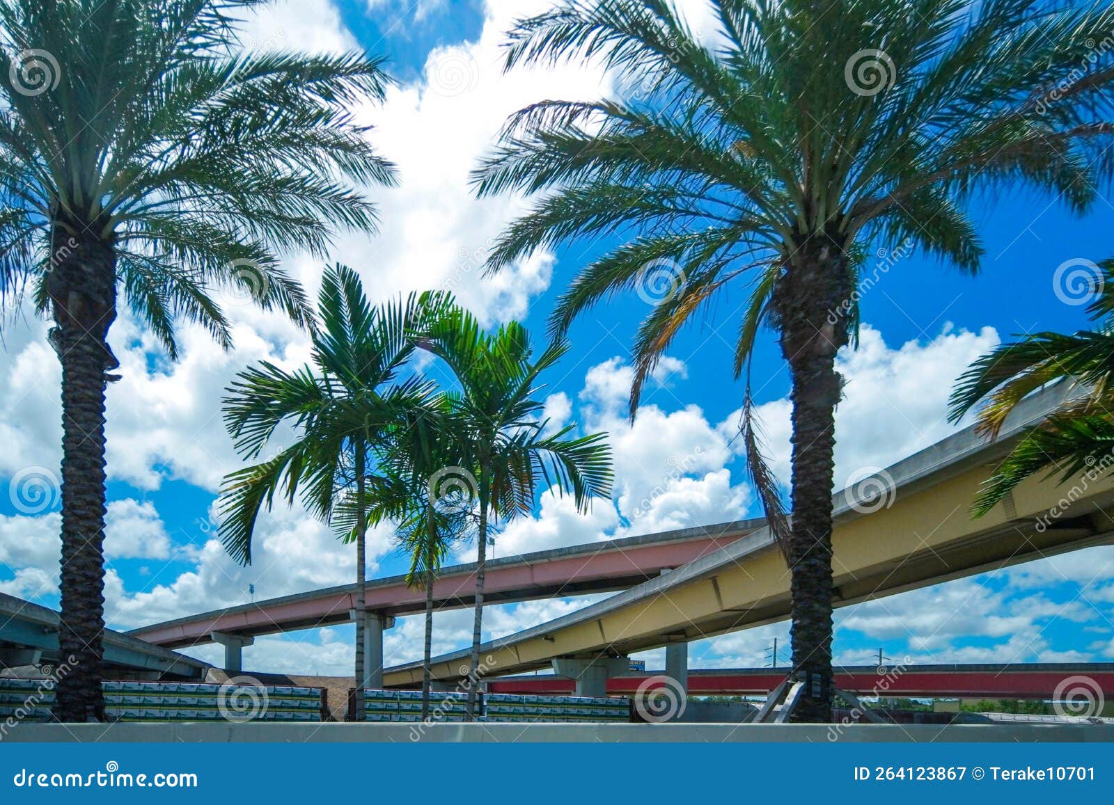 Blue Skies and Clouds Palm Trees and Interconnected Roads Bright Stock ...