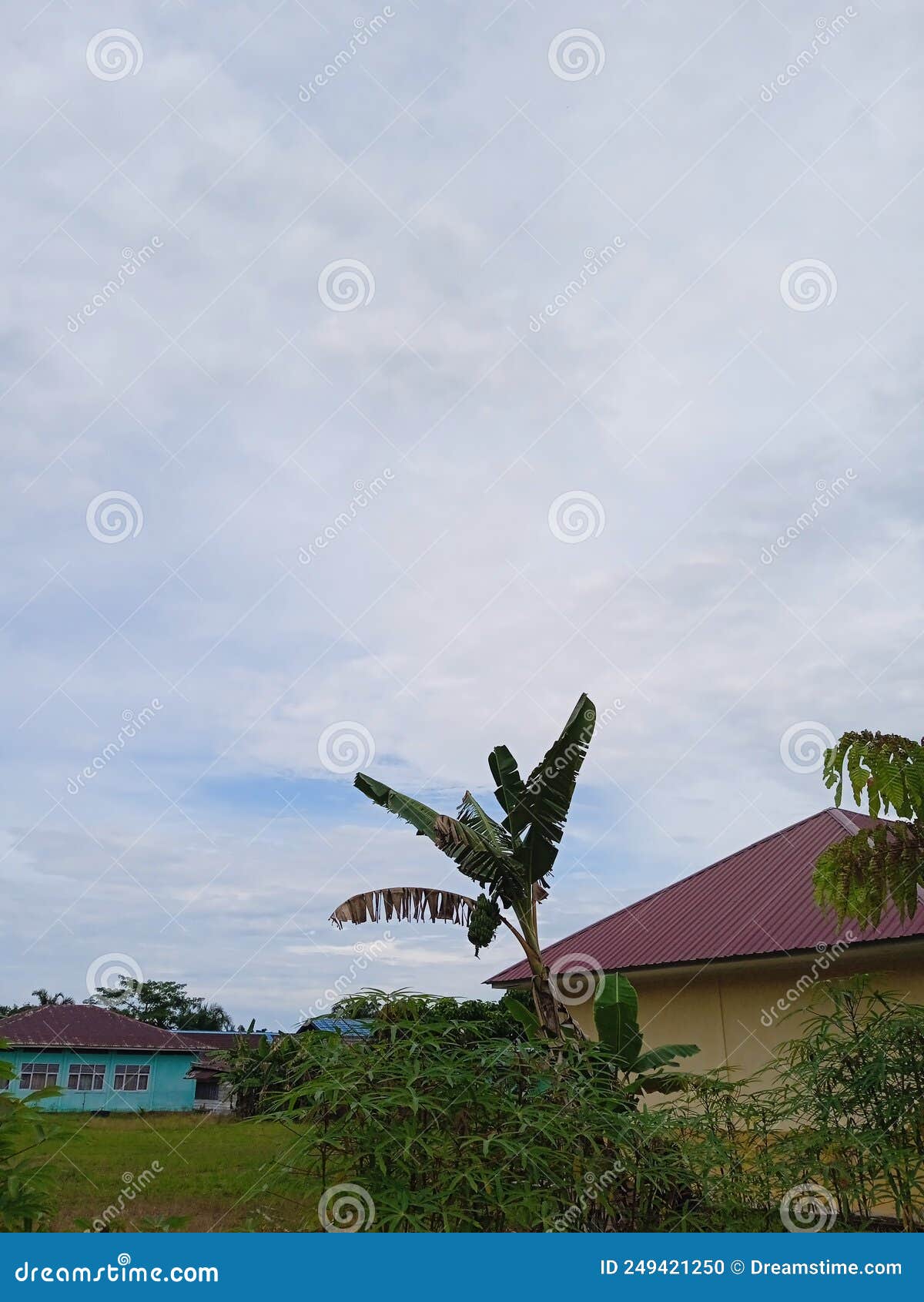 9am blue sky stock photo. Image of tower, cloud, facade - 249421250