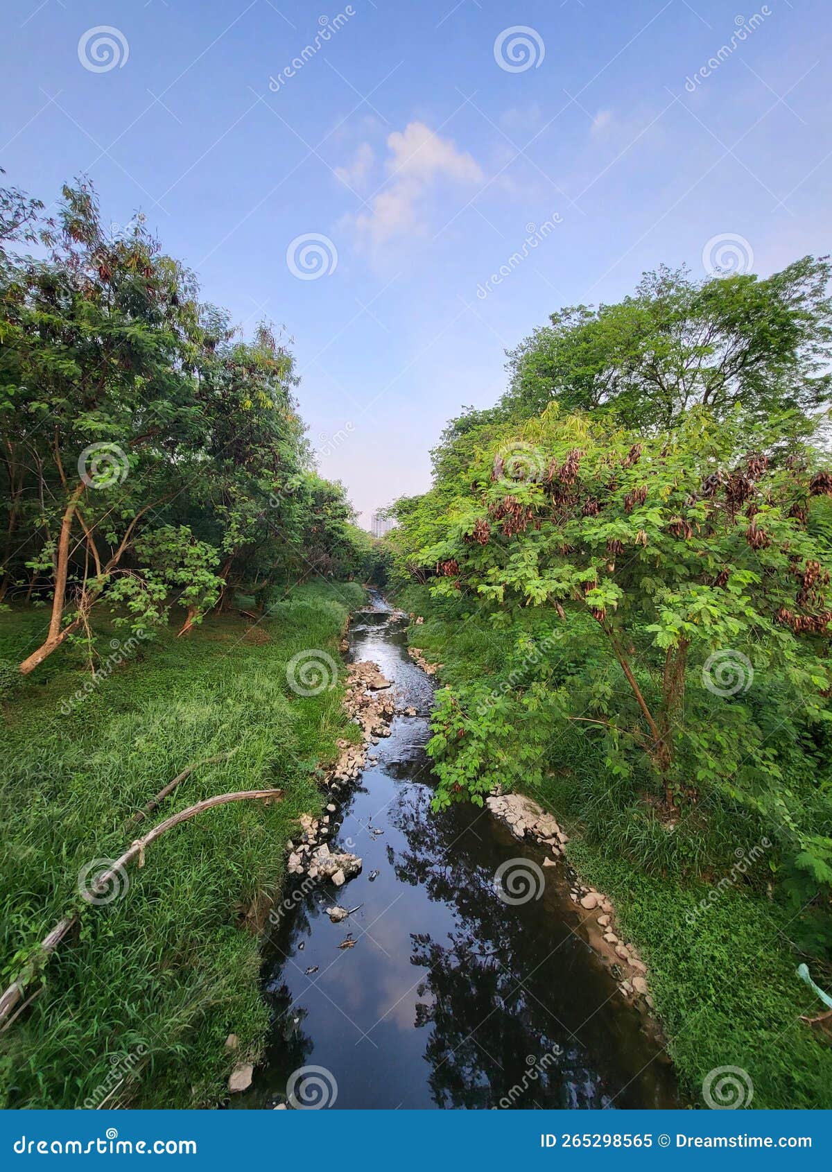 Blue Sky Above the River in West Java Stock Image - Image of ...