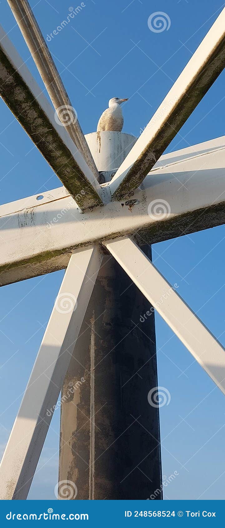 Segul Artistic Stock Photos - Free & Royalty-Free Stock Photos from ...